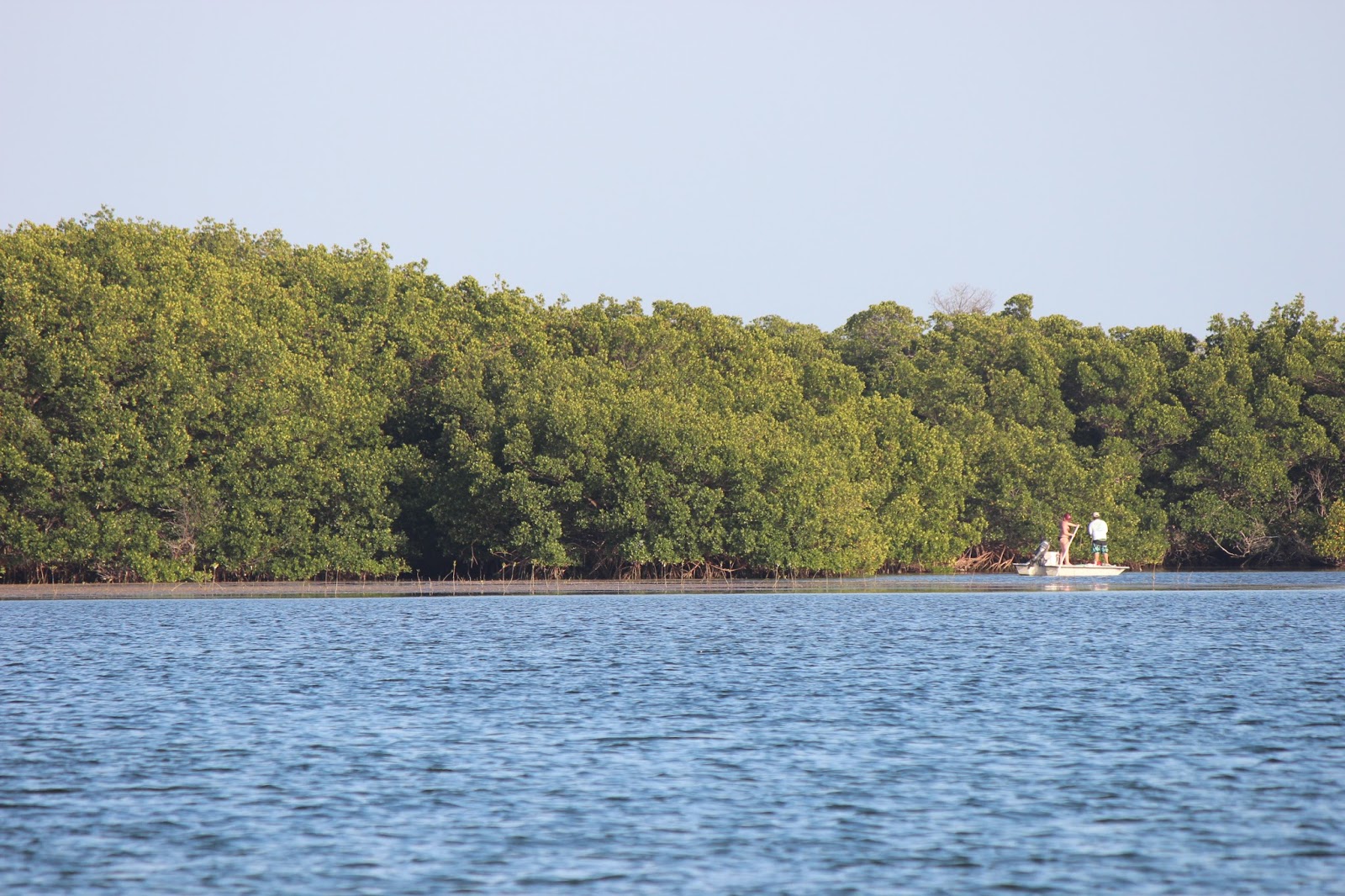 Sailing Adventures of "Second Wind": Grassy Key to Long Key Bight
