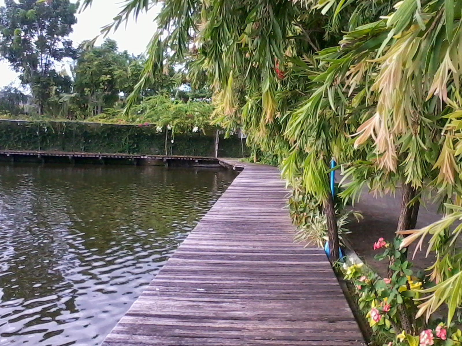 ENVIRO IS ME: Internship: Bali Tourism Development Corporation (BTDC ...