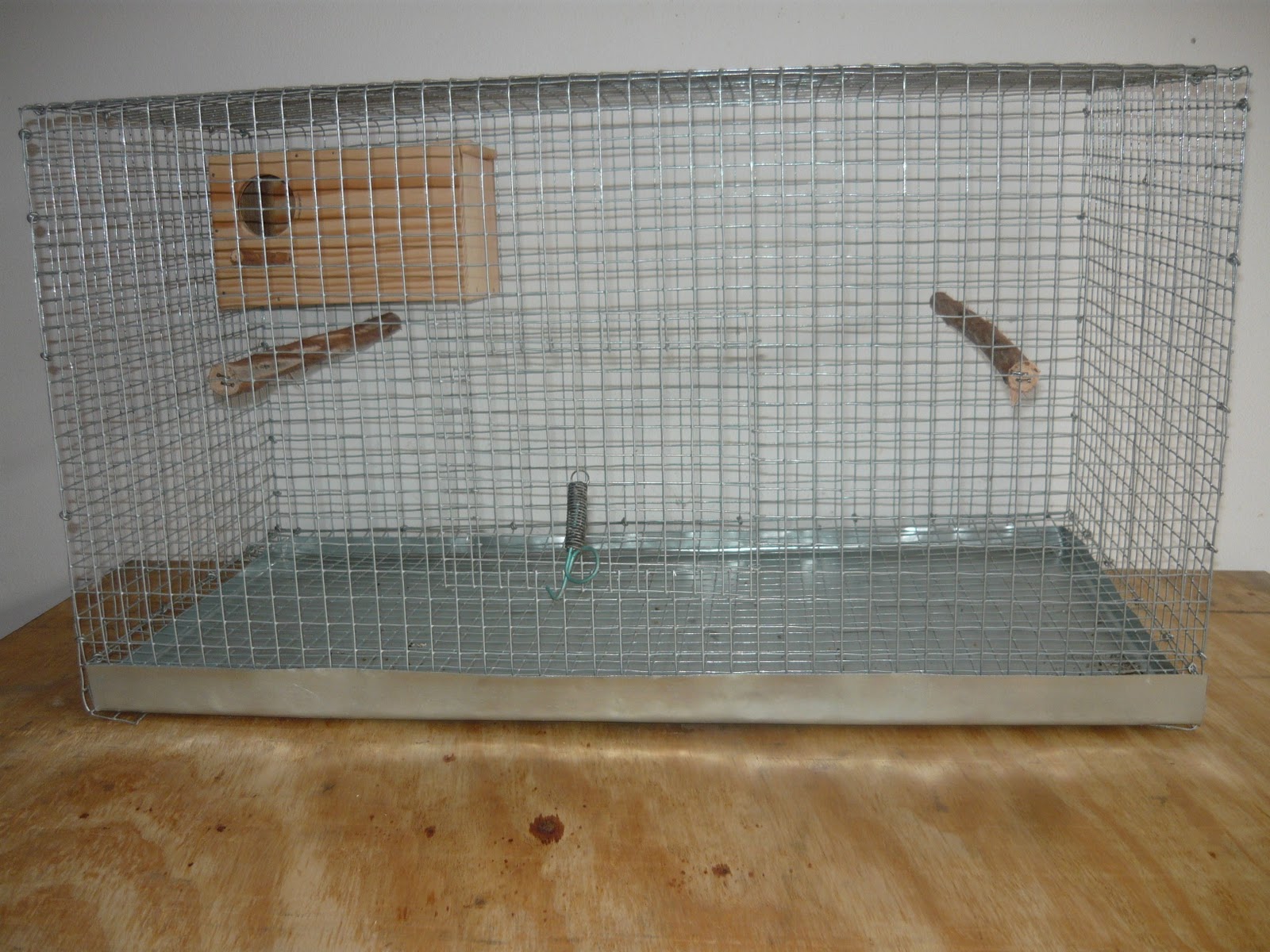 Aves Nuno Francisco: Gaiolas em rede galvanizada