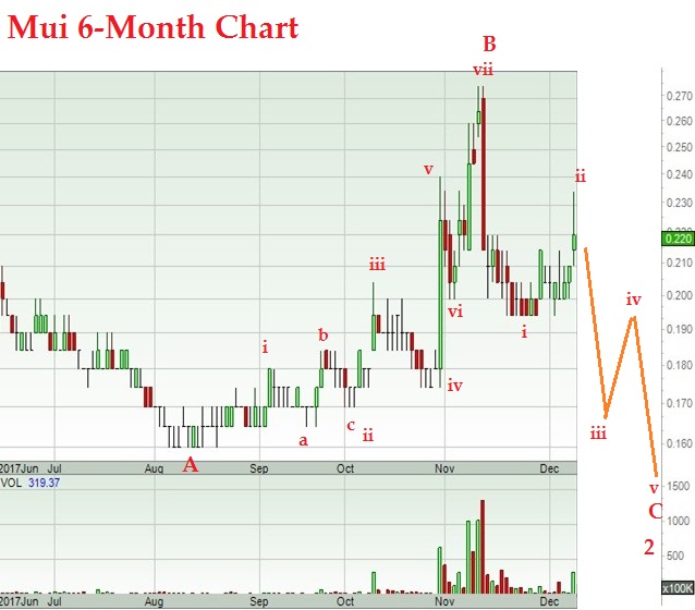 MUIIND (3891) - Malayan United Industries Bhd (Rm 0.22) | Sharetisfy