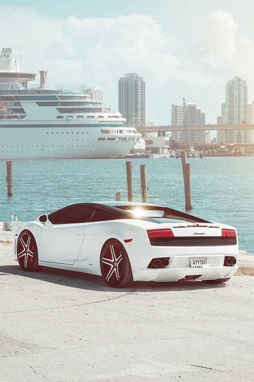 TRIBECA MAGAZINE: #lambo