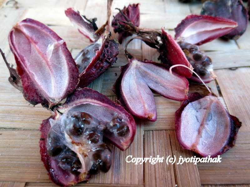 Taste of Nepal: Black Cardamom - Alainchi