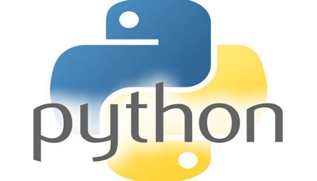 What is Python Hosting? ~ Want2Host