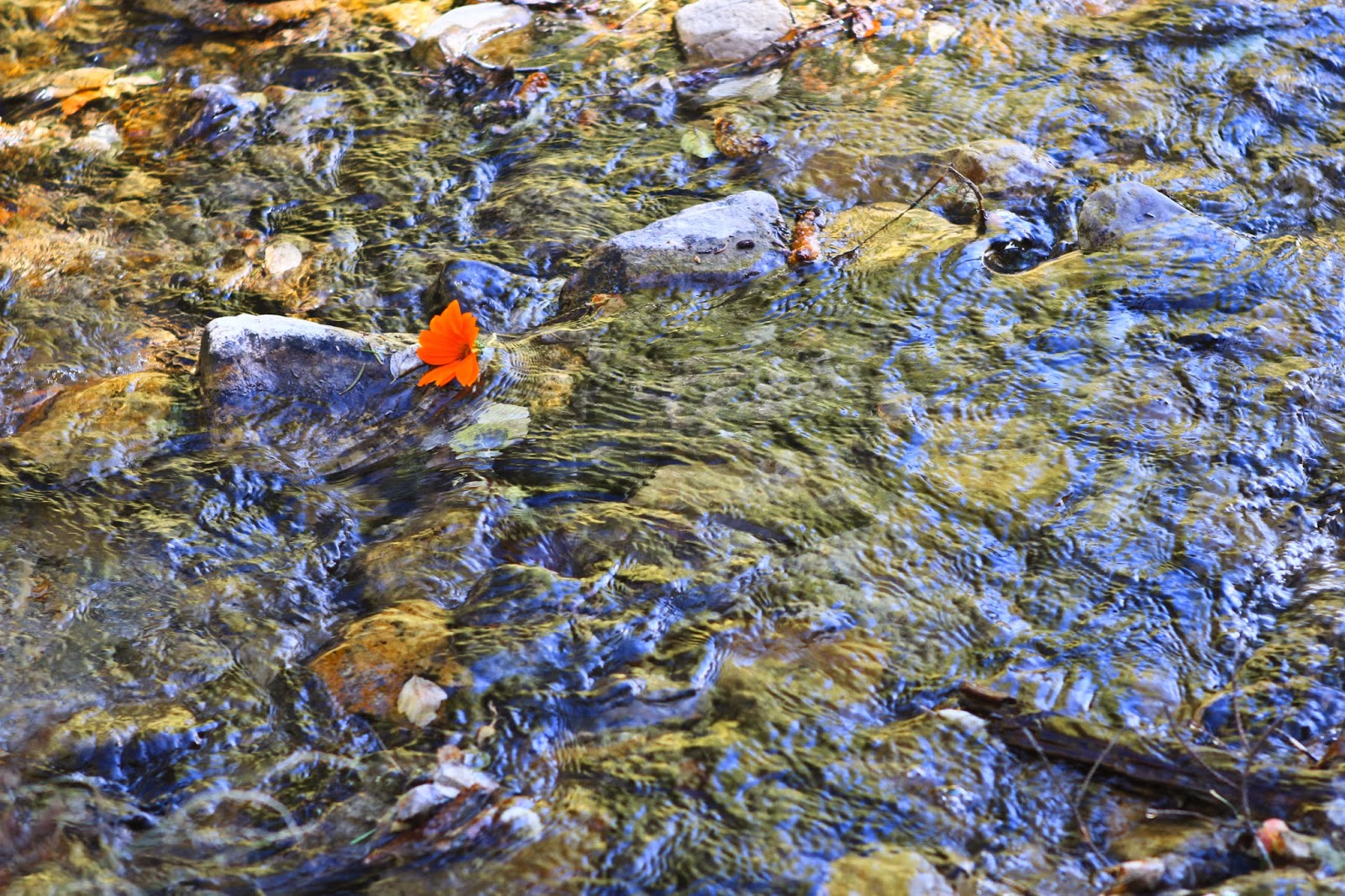 A Little Cuppa Tea: Fall: Sundance, Utah & Wyoming