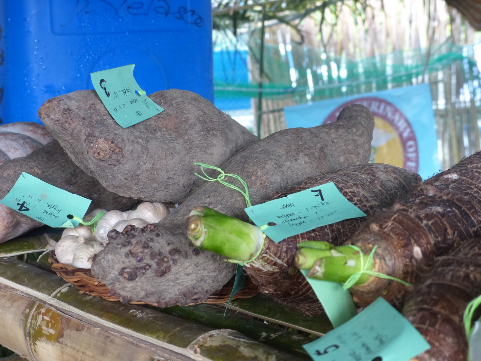 Connecting: Dateline Batanes