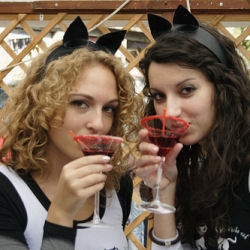 The Price of Fixity is Unintelligibility: Recanting & Mea culpa for ...