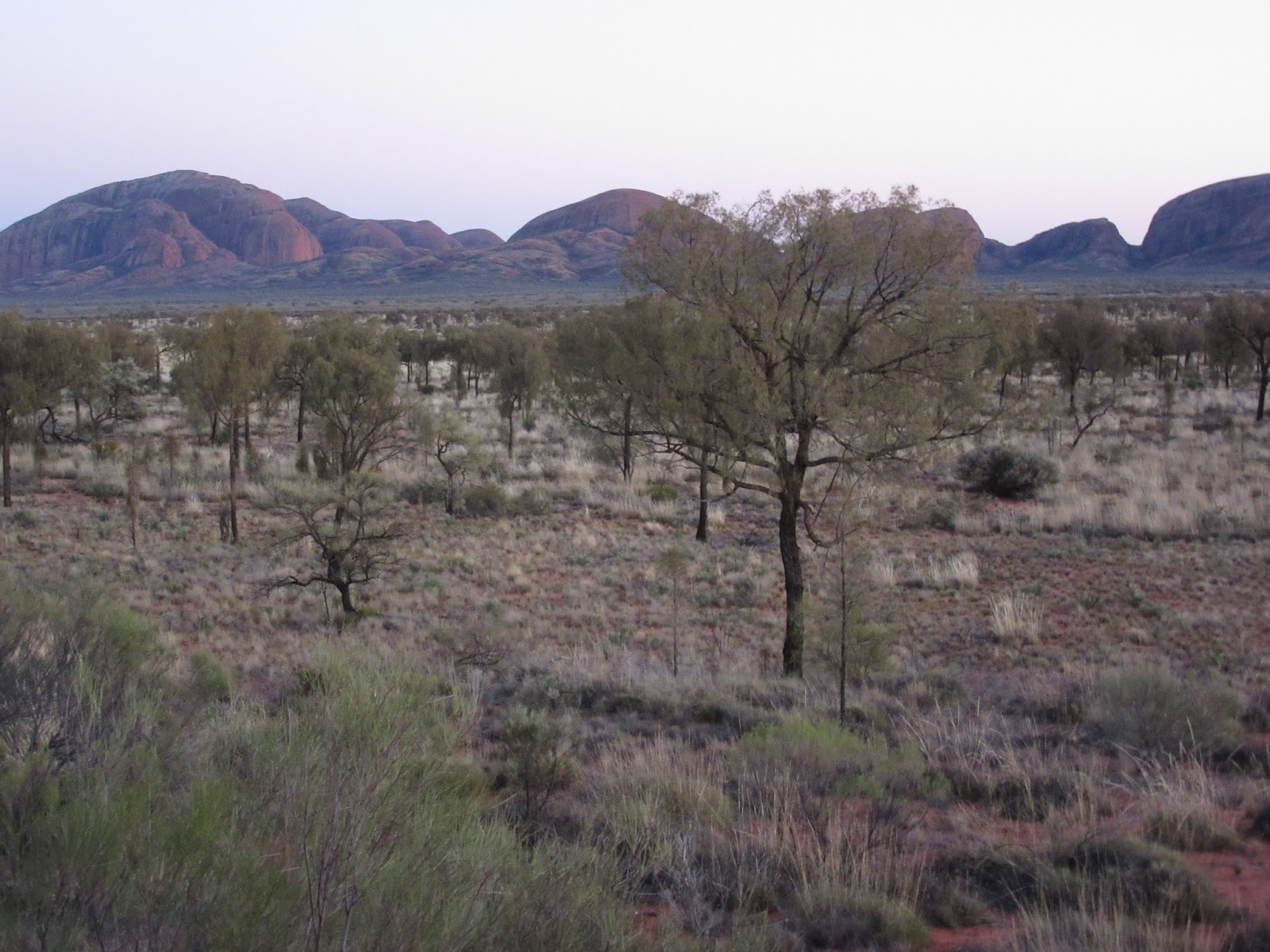 The Overseas Adventures of Annie and Steven Berger August 29th through ...