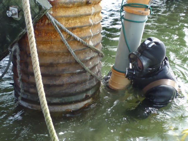 Island farming in the Falkland Islands: Diving Buddy