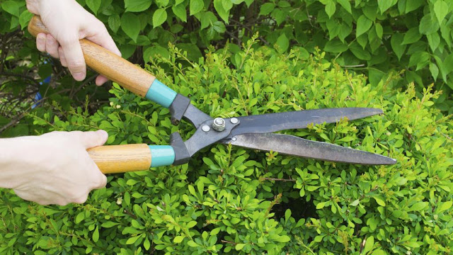 Gardening Cutter Tool. - Product Reviews