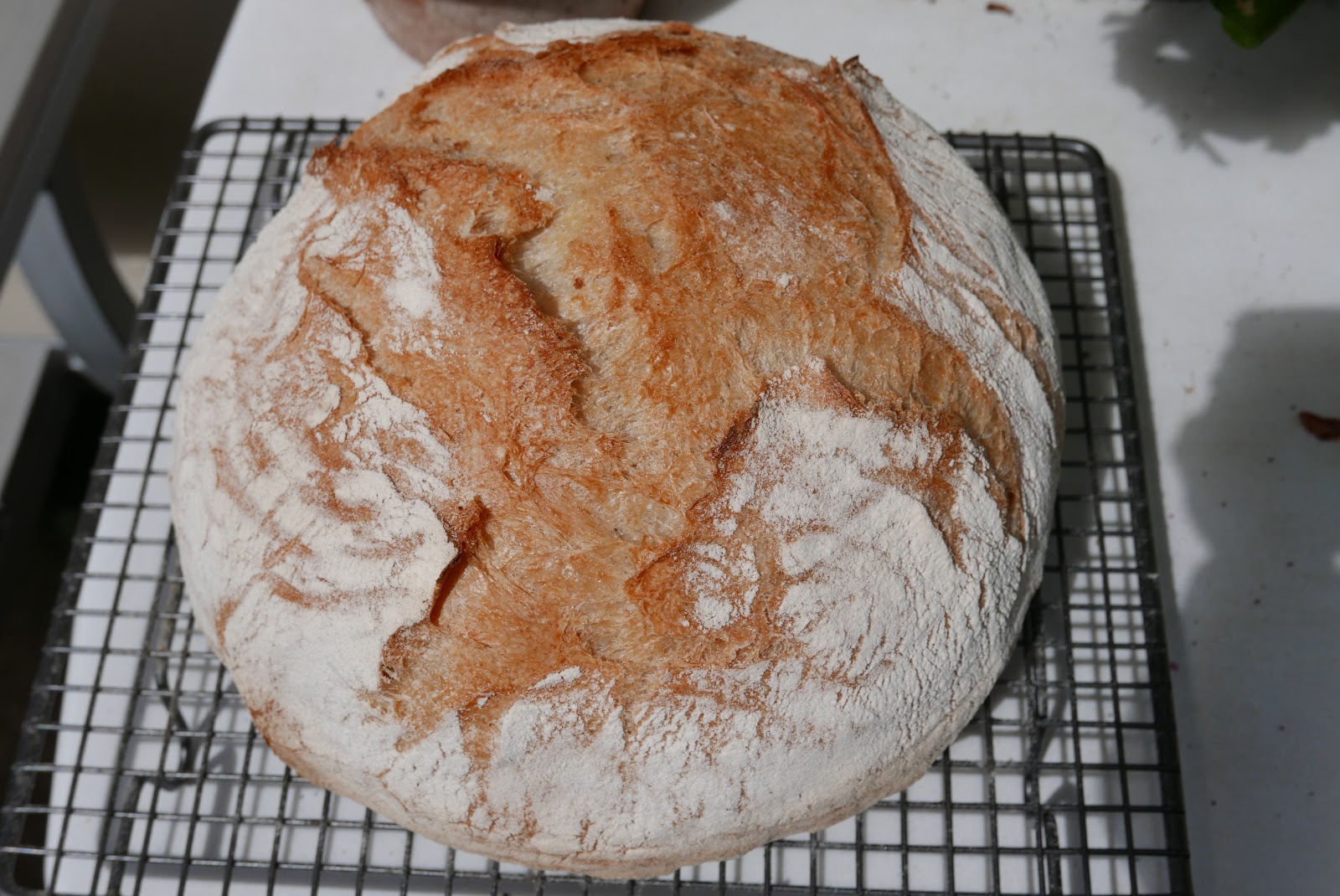 Four seasons.: Artisan style overnight bread.