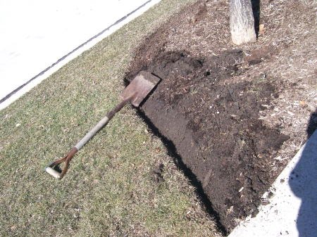 Intrigue Designs: Do you Spade Edge?