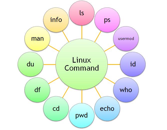 Open Source Operating System: Basic Command & Linux Command in Linux