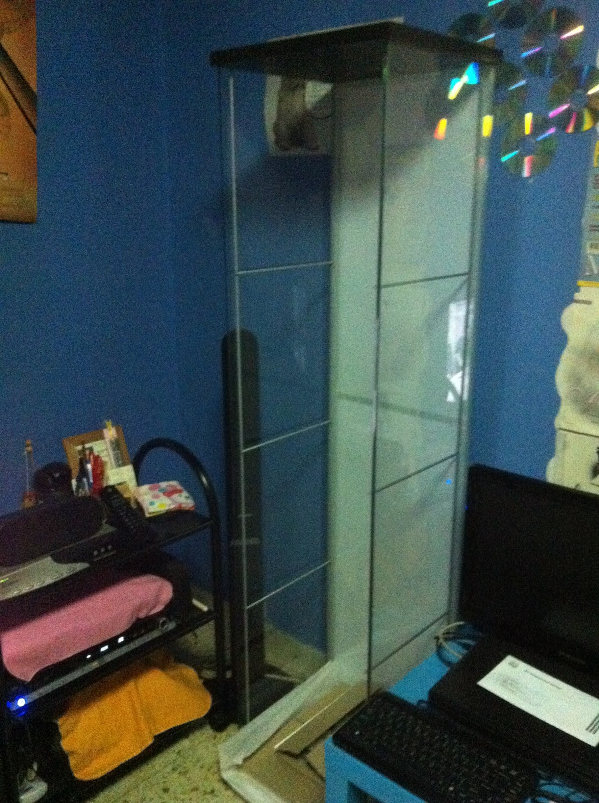 Spirit Place Crave: Setting Up My Detolf Display Glass Cabinet Part 1