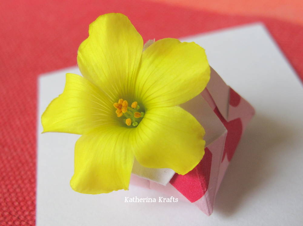 Katherina Krafts: Miniature Origami Baskets