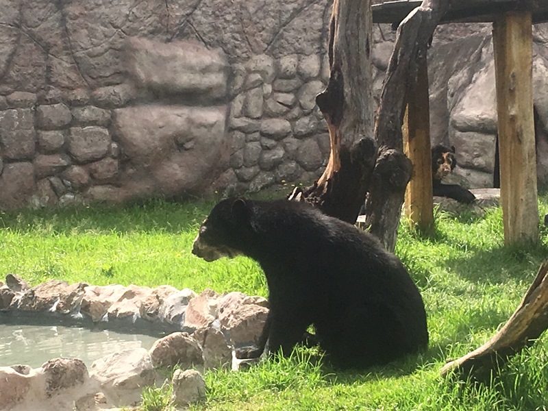 The Zoo Review: Zoo Review: Quito Zoo in Guayllabamba