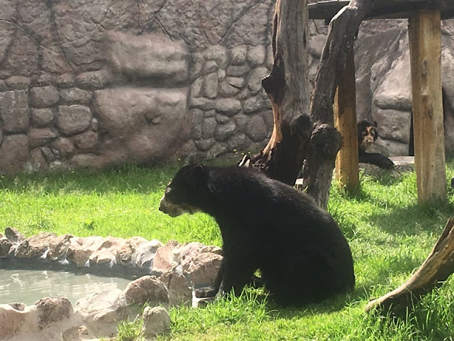 The Zoo Review: Zoo Review: Quito Zoo in Guayllabamba