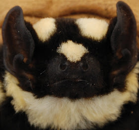 Real Monstrosities: Badger Bat?