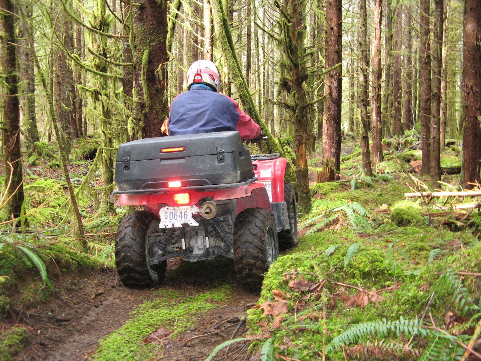 Powell River Quad Rides: Powell River Quad Trails