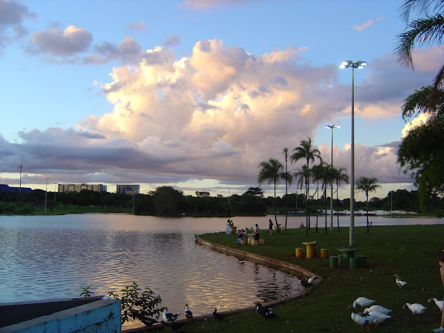 Horário de Ônibus DF: Linha - Consulte Agora