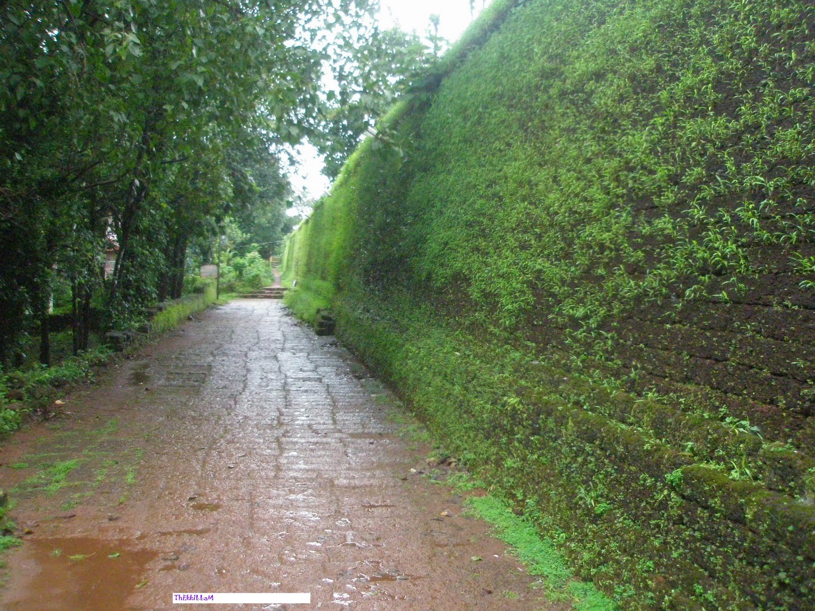 Rajarajeshwari Tapınağı Taliparamba