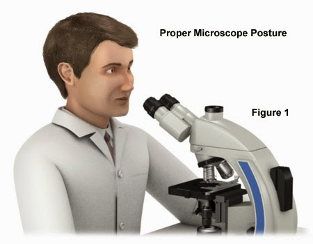 Rules of working with a light microscope