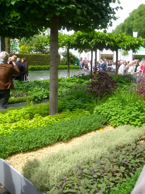 Plant tower, bug tower