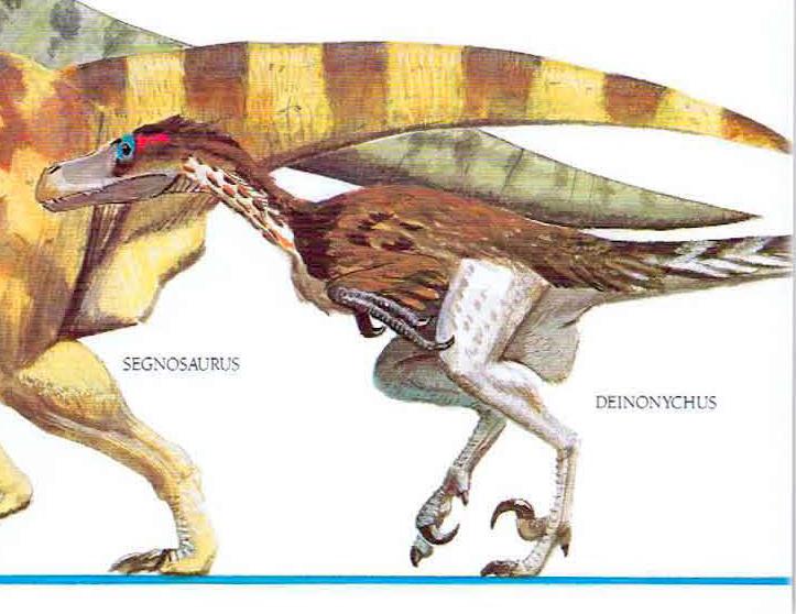 AGATHAUMAS: Il ritorno di David Peters