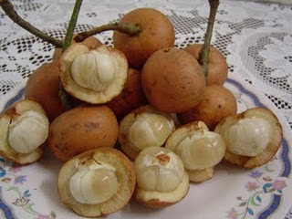 Buah Tampoi - Inspirasi Bisnis Tupperware Indonesia