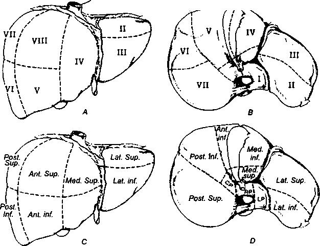 AMG: Chirurgie generală si nursing în chirurgia generală , 8 ELEMENTE ...