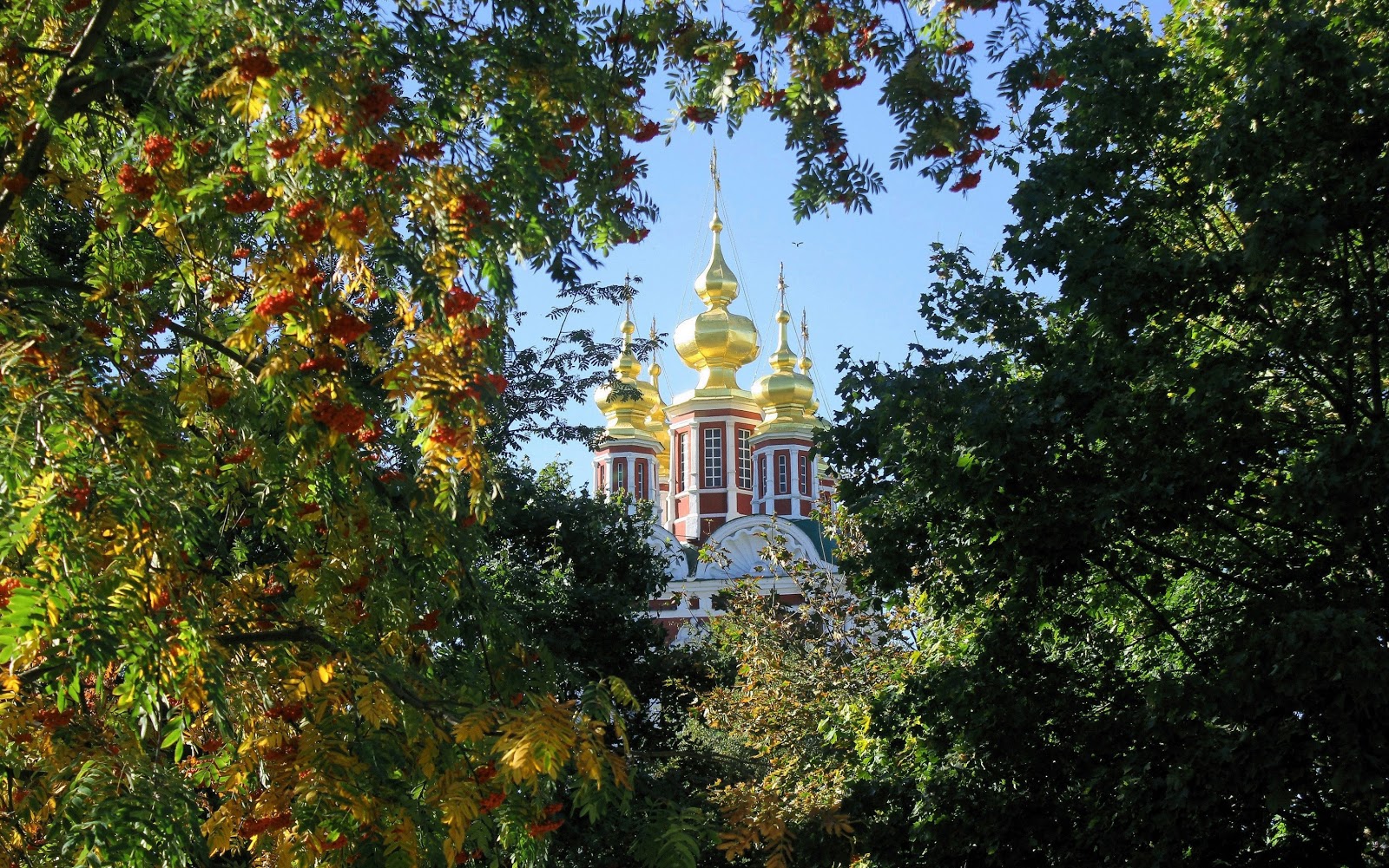 Travel & Adventures: Moscow, Russia, four seasons. The Nature of Moscow ...