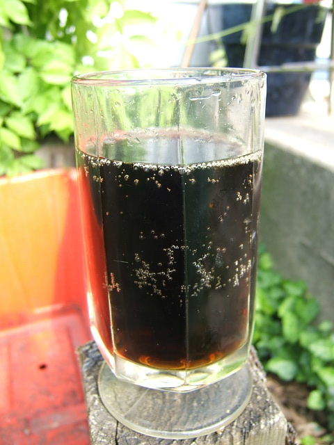 Review the World: Gross Expired Soda Taste Testing