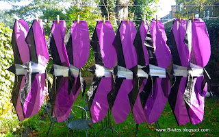 B-kites: Birds on a single line