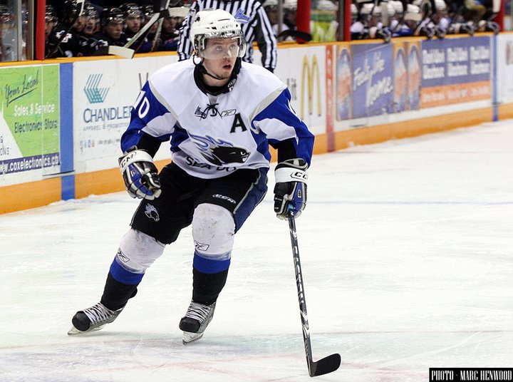 Station Nation: SEA DOGS NOTEBOOK