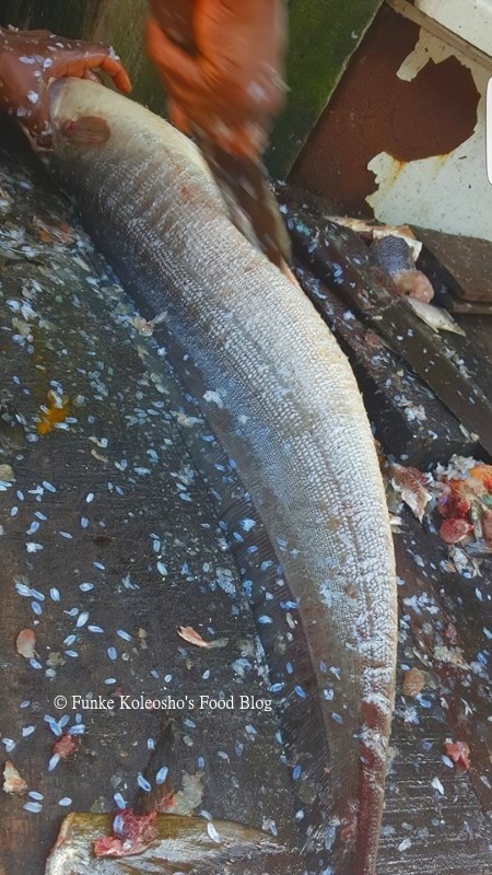 Nigeria's Priced Sea Food - Eja Osan