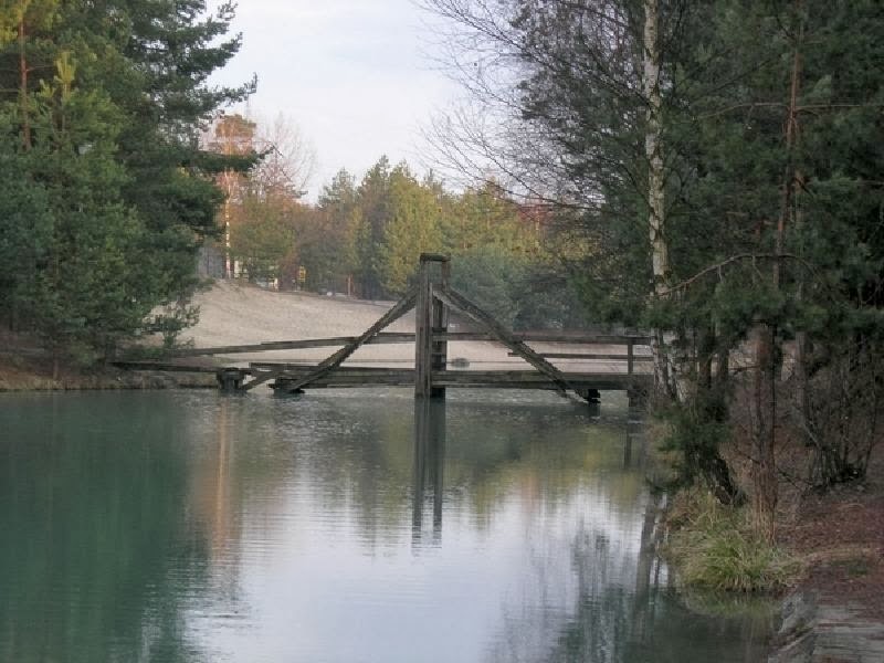 Leśny Dwór | Bukowno