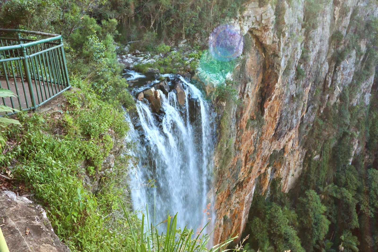 National Park Odyssey: Springbrook National Park, QLD. Revisit in April ...