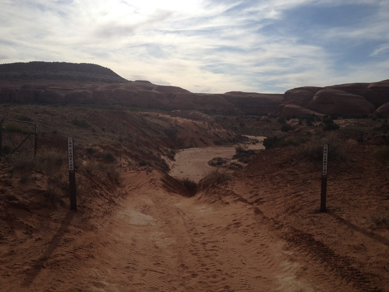 Take Them Traveling!: Fossilized Dinosaur Footprints... and the ...