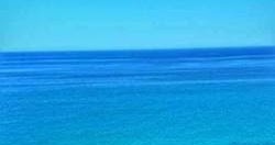 CONOCIENDO EL CARDONAL en BAJA CALIFORNIA SUR