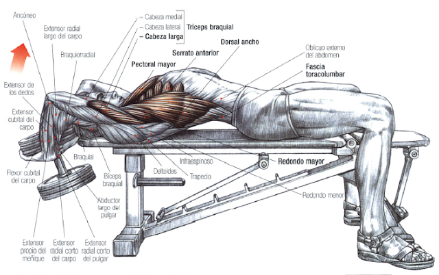 Pull-Over con mancuerna