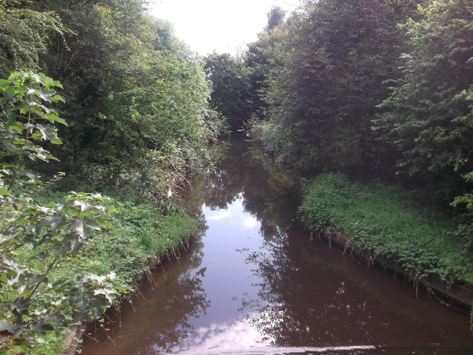 A Brummie's Guide to Birmingham: River Rea; Cannon Hill Park - Cartland ...