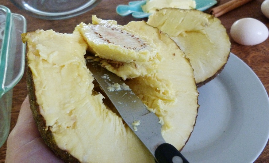 Cottage Life on Pilgrim's Farm: Breadfruit Pudding...