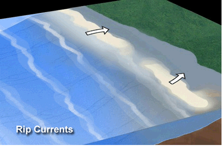 www.Primo.com: Sedimentation definition.