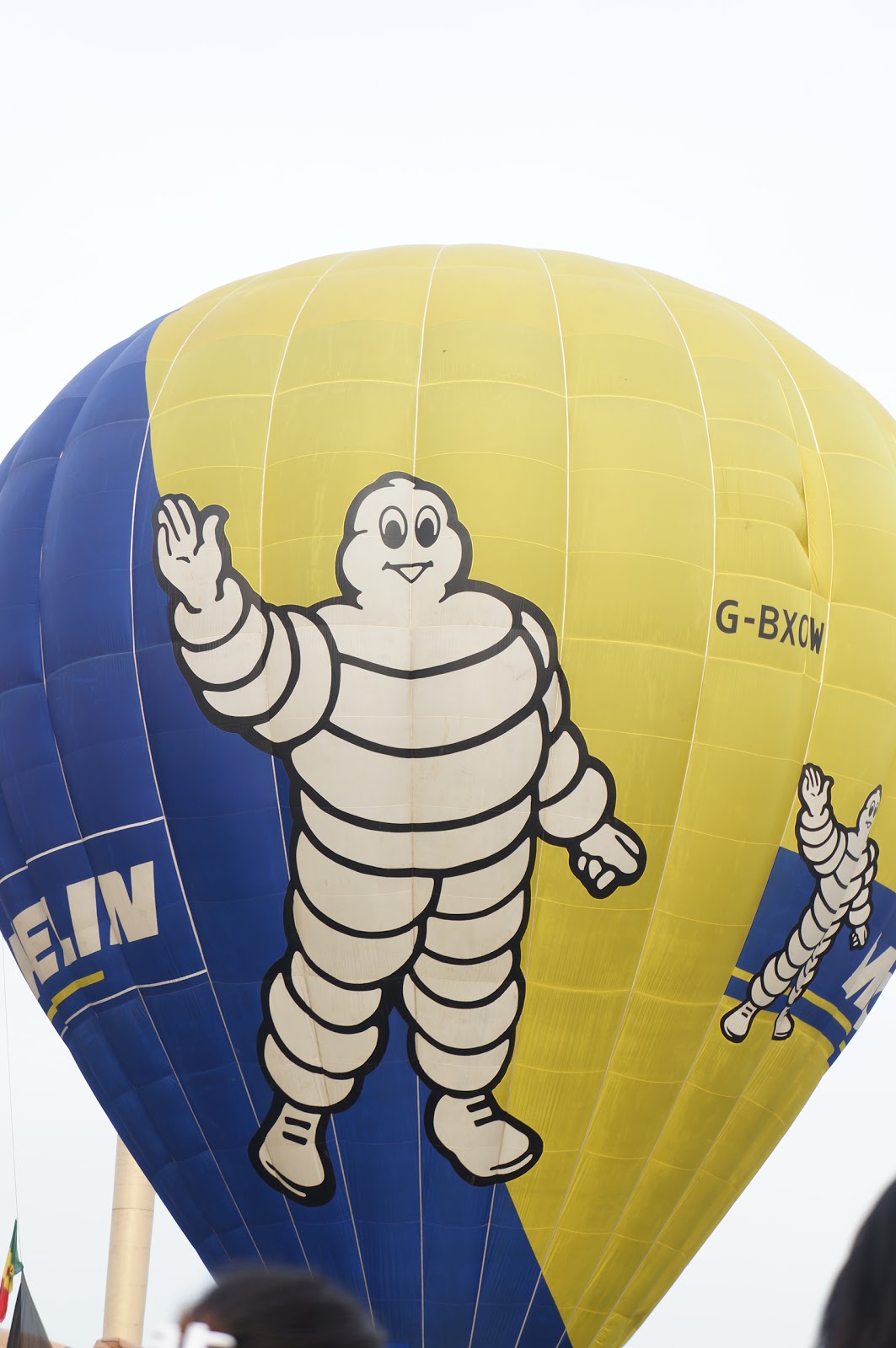 Planting Flowers for My Heart: Hot Air Balloon Fiesta