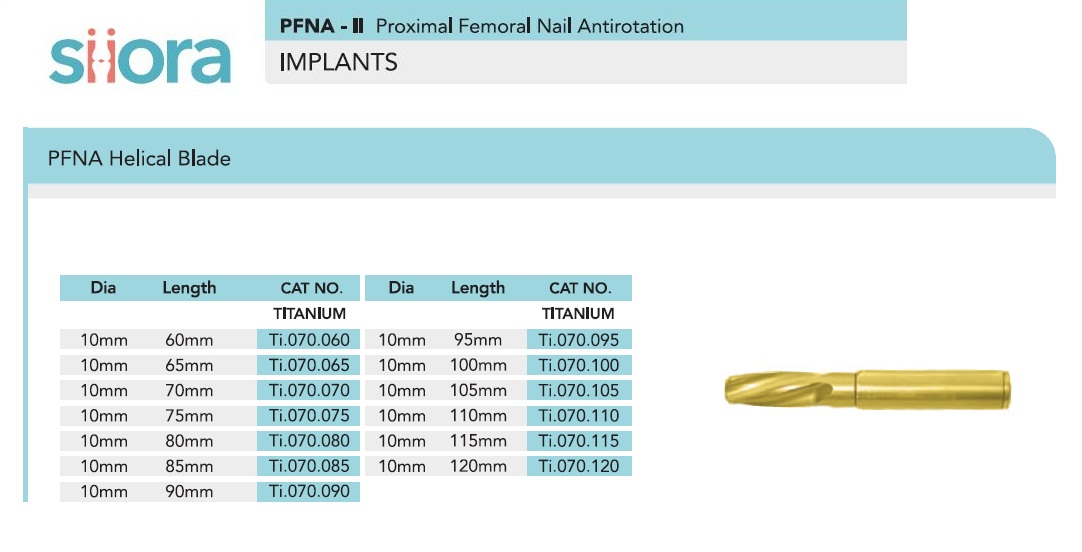 Orthopedic Implants Manufacturer: PFNA2 Nail – Proximal Femoral Nail ...
