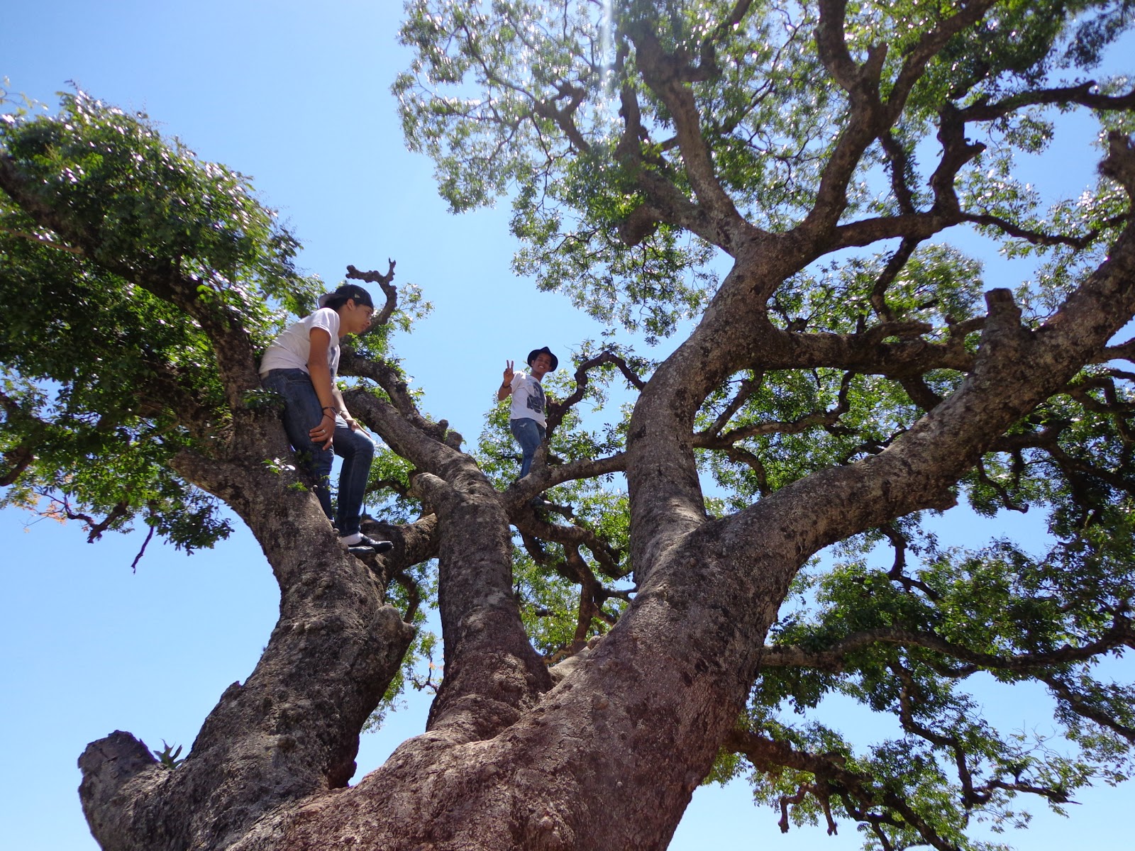 Michael Jackson Covers - Av. Paulista / SP: Tributo a Michael Jackson ...