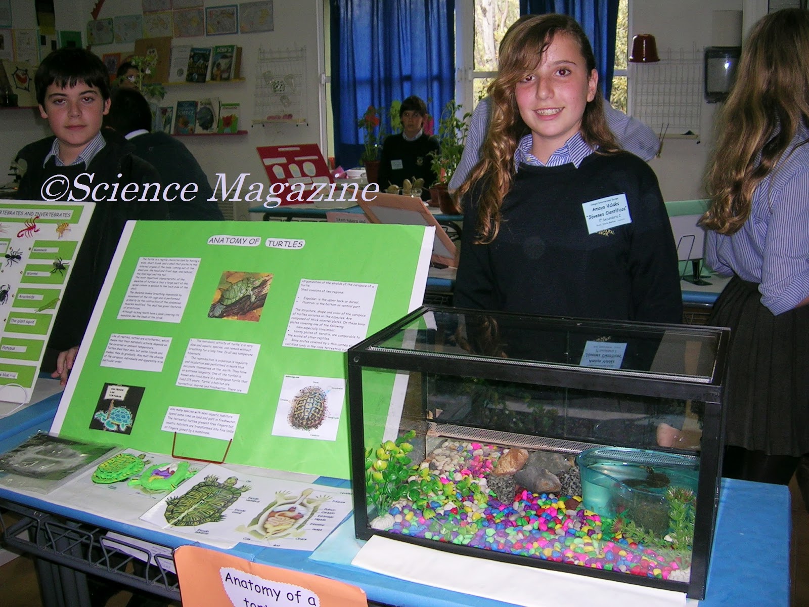 Science Magazine: SCIENCE FAIR PROJECT - TURTLES - By Amaya Valdés