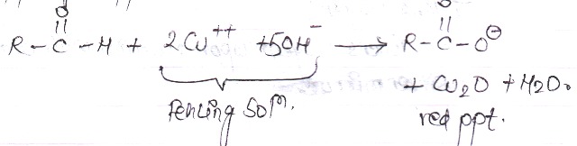 Fehling’s test & Benedict’s test