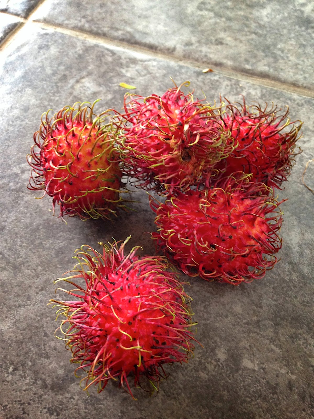 Expats in Costa Rica: Mamon Chino