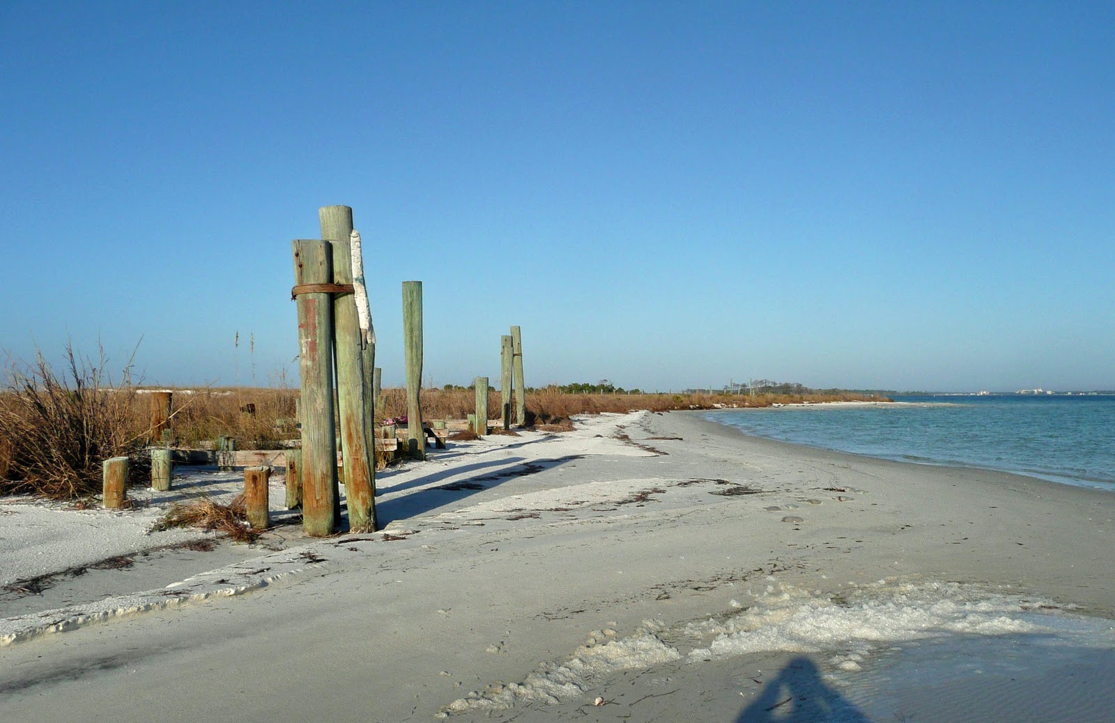 Last Dance: Florida Panhandle - Shell Island