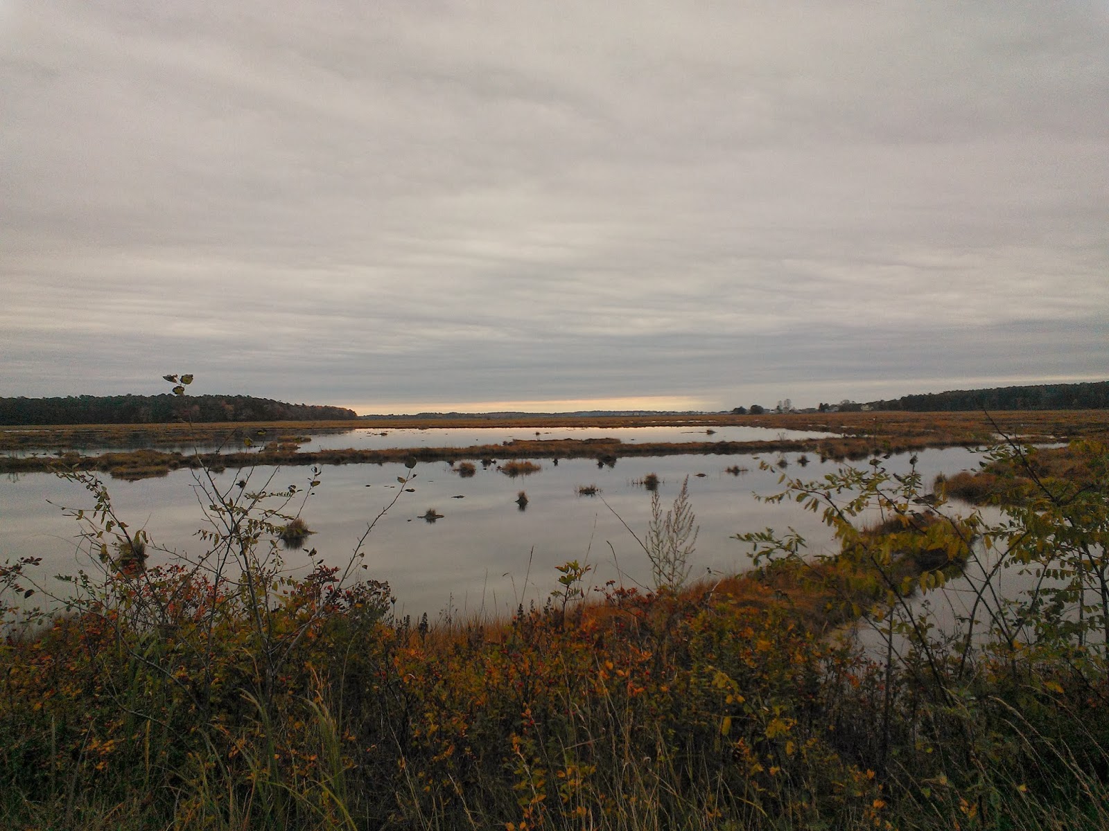 Minnie's first public walk - the Eastern Trail
